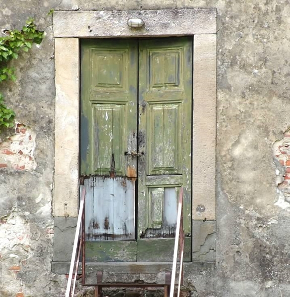 The Doors and Windows of Summer – Writ N Wit